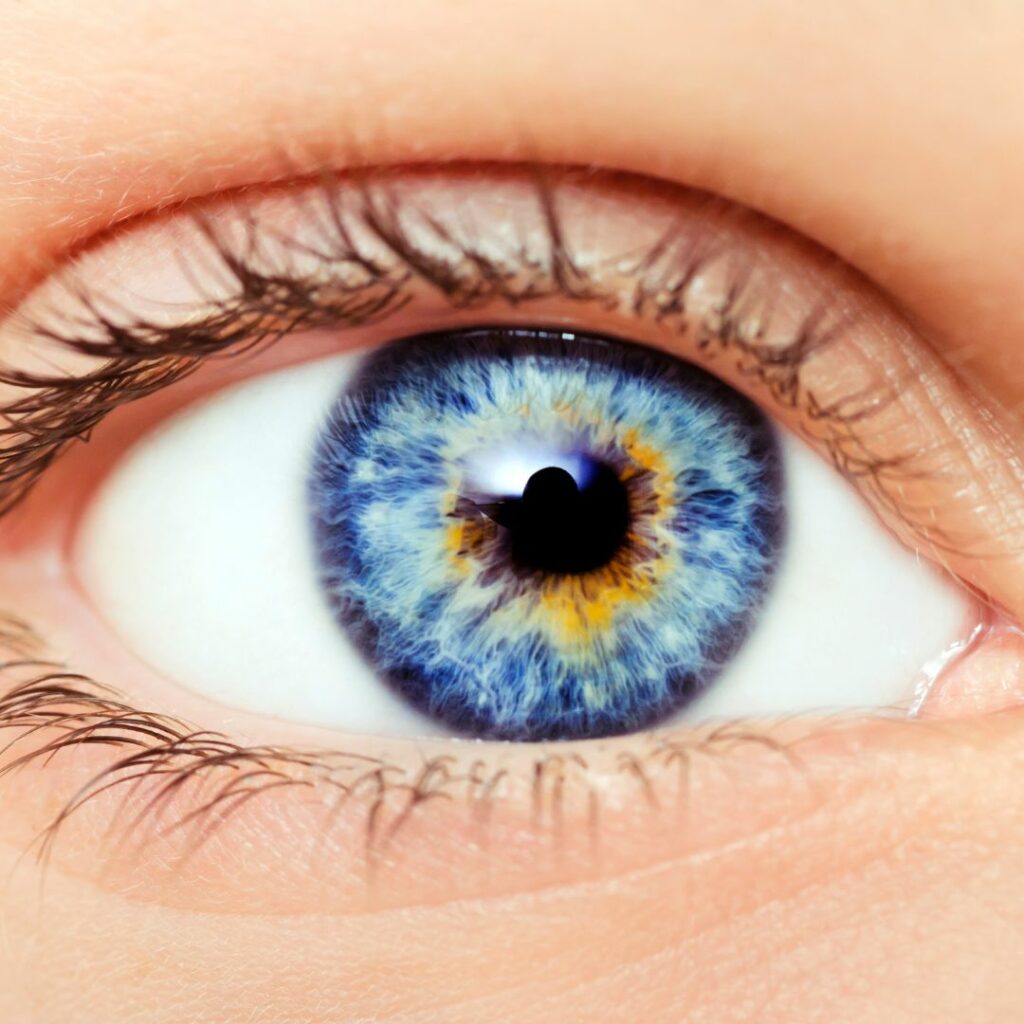 4 Things To Keep in Mind With Your Eye Tracking Results - Gazepoint